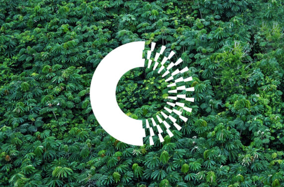 TRÜF : Creative Branding Design Studio in Los Angeles