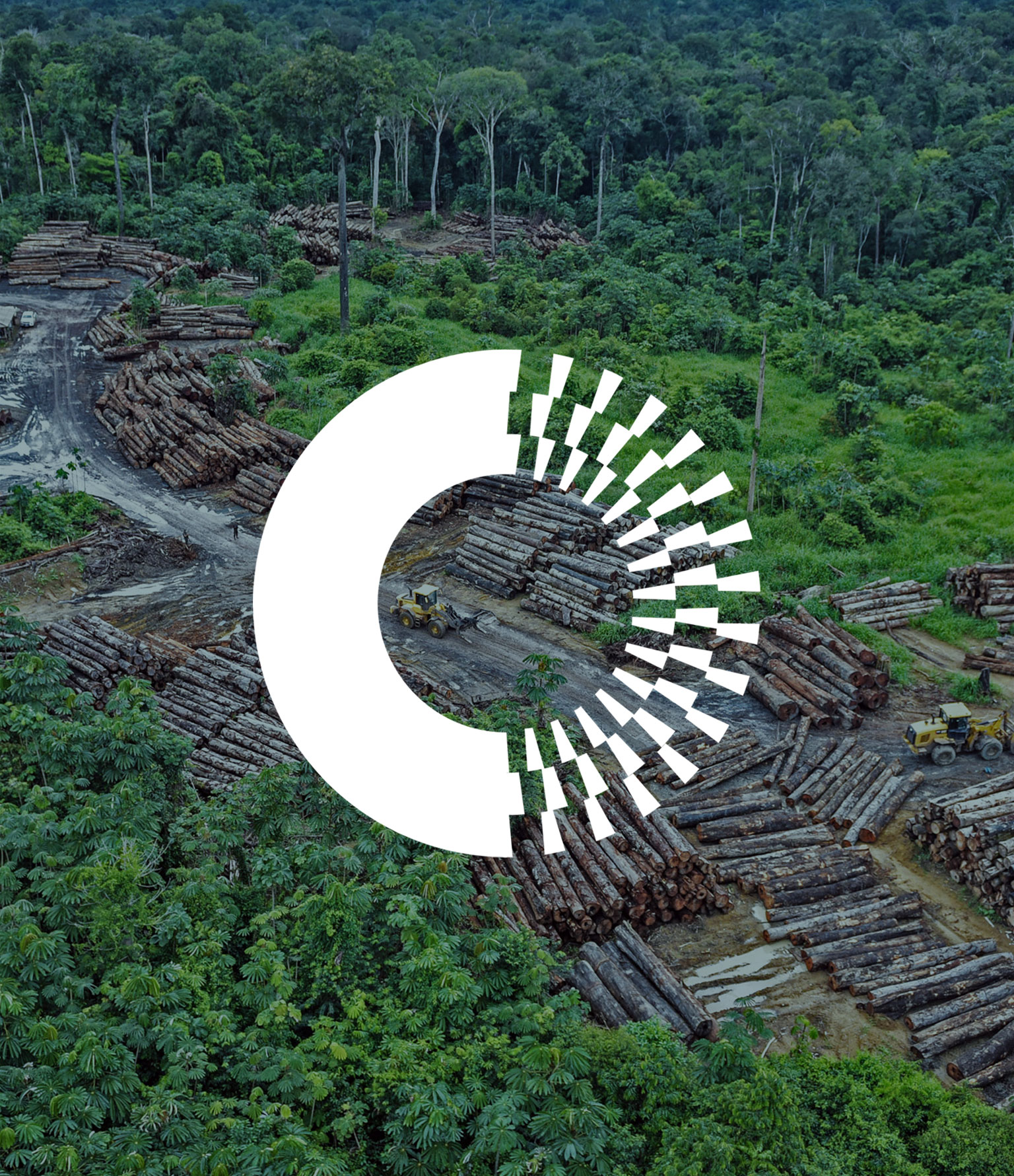 TRÜF : Creative Branding Design Studio in Los Angeles