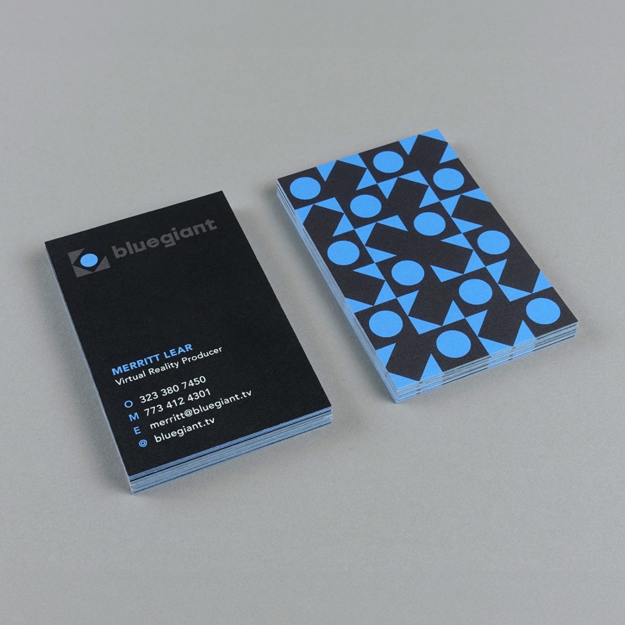 Bluegiant Brand Identity & Website Design | TRÜF