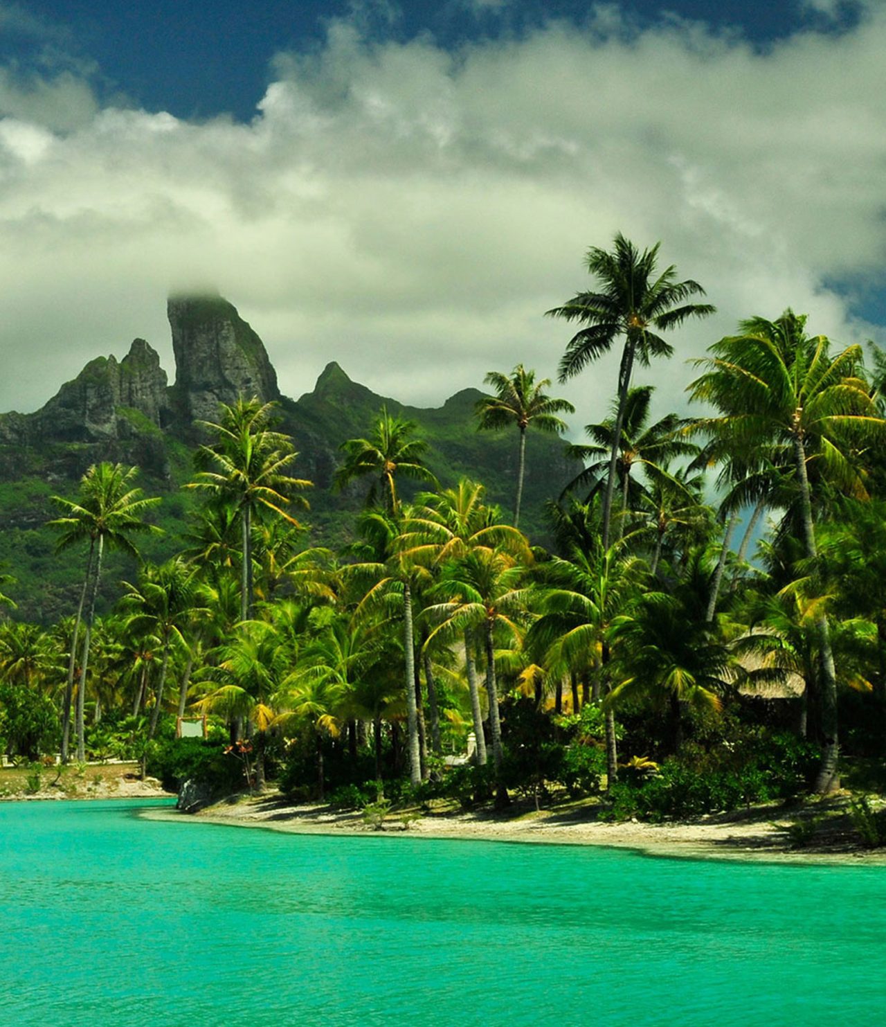 Tahiti.com Brand Identity & Website Design | TRÜF