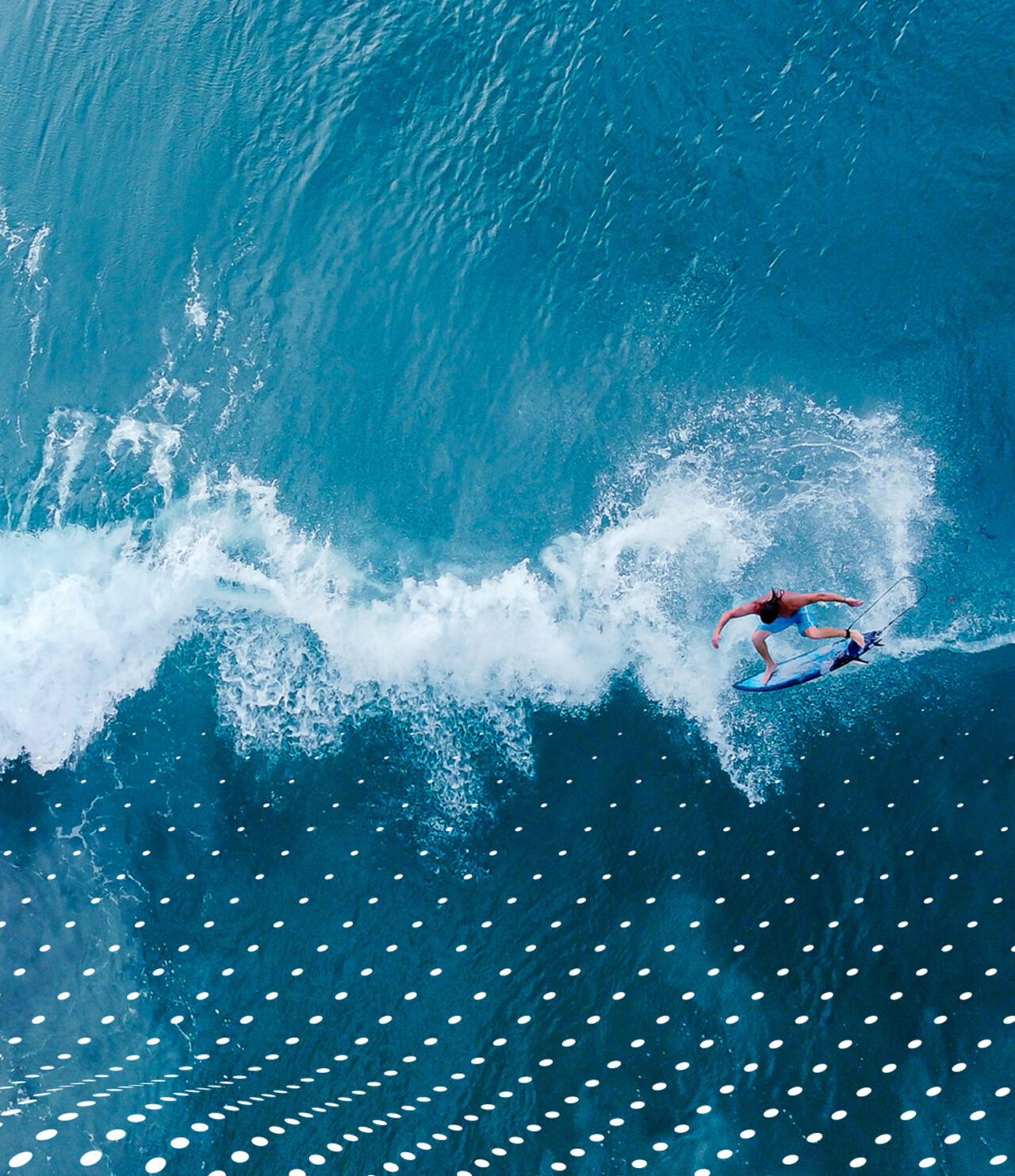 TRÜF : Creative Branding Design Studio in Los Angeles